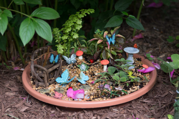 DIY Fairy Gardens: Crafting Enchanted Worlds for Kids and Adults - Mod Podge Rocks